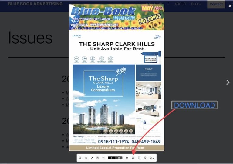 Issues » Blue Book Advertising